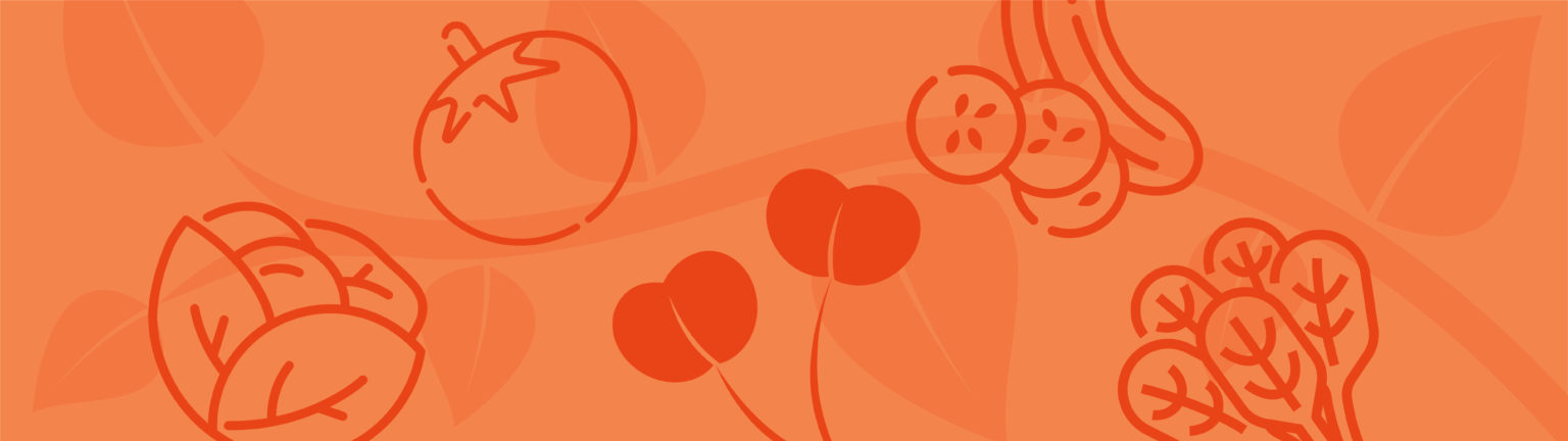 Our Produce - Growing Puerto Rico