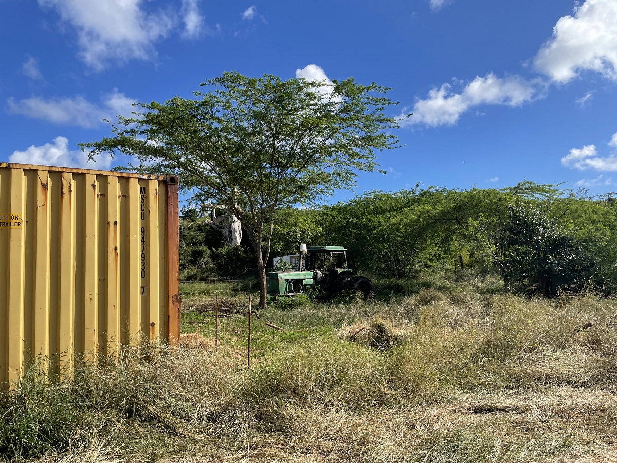 Our Farm - Growing Puerto Rico